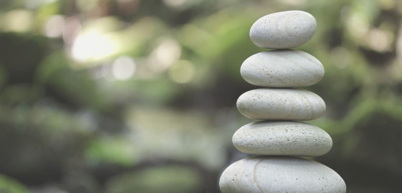 A Beginner’s Guide To Holistic Wellness | Embodied Wellness Center, PLLC